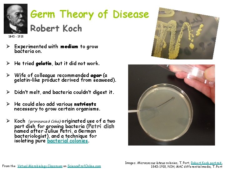 About Science Prof Online Power Point Resources Science