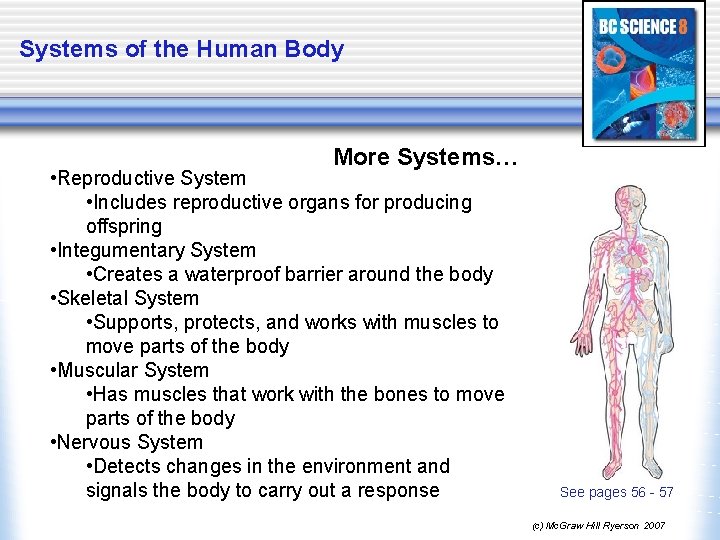 2 1 Body Systems A system is made