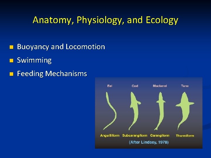 Anatomy Physiology and Ecology of Fishes I Biology