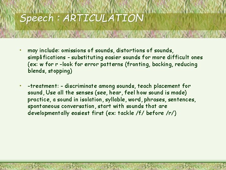 Communication Exceptionality Speech and Language Chapter 9 website