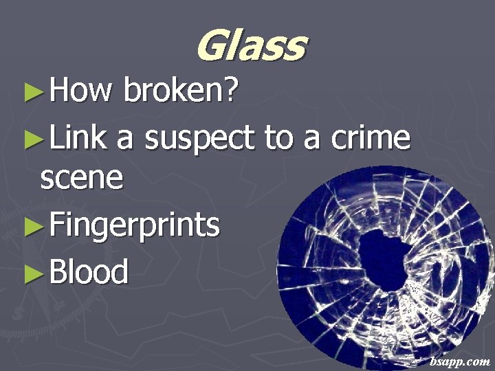 Physical Evidence bsapp com Types of Analysis n