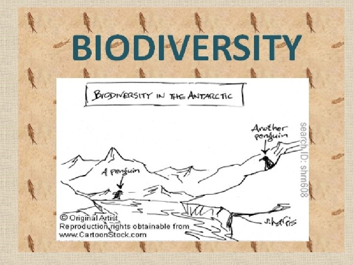 Conservation Learning Objectives the factors affecting biodiversity To
