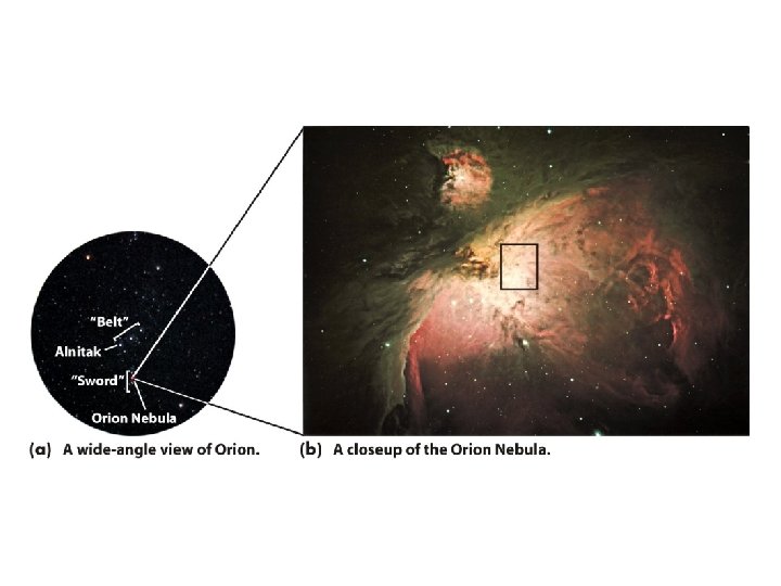 The Birth of Stars Chapter Twenty Guiding Questions