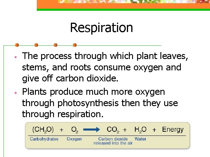 Plant Growth Development By Johnny M Jessup Agriculture