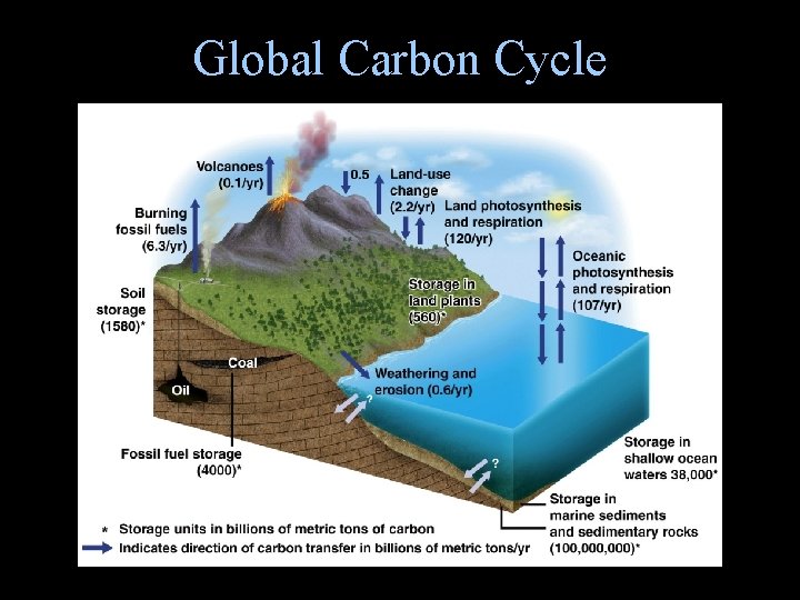 Chapter 3 Biogeochemical Cycles Big Question Why Are