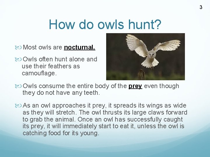 Owls By Miss Allison Table of Contents 1