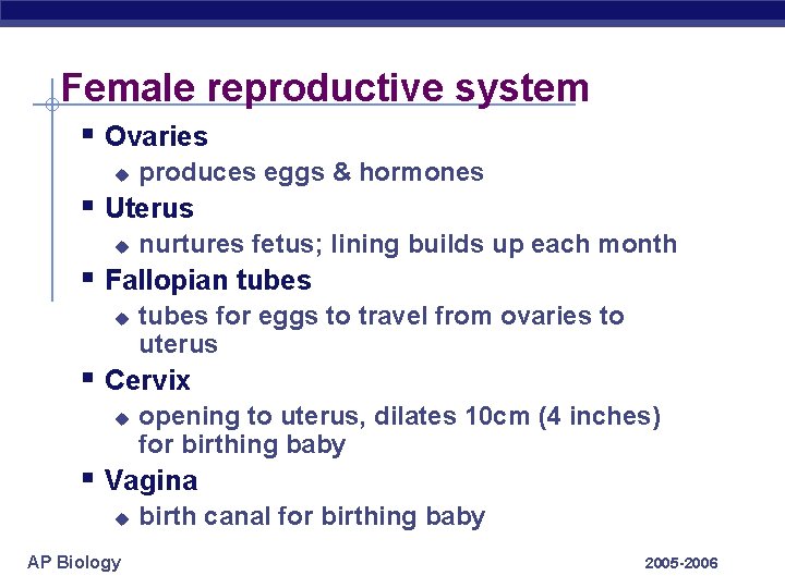 Animal Reproduction AP Biology 2005 2006 Sexual asexual