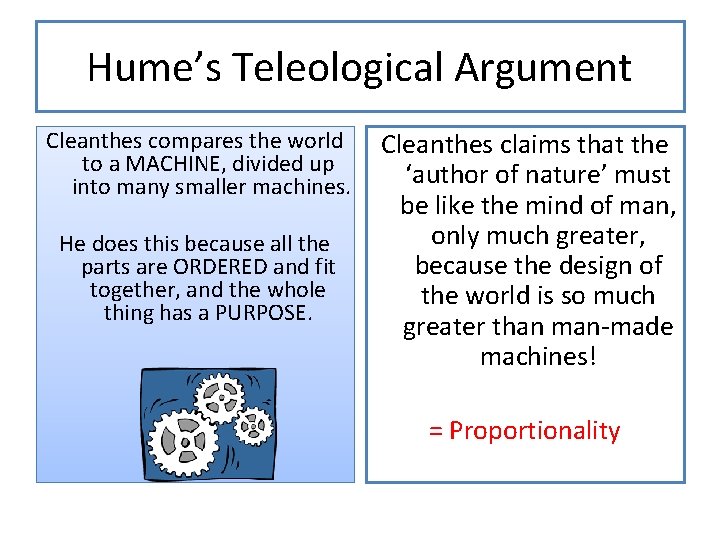 What is the difference between a cabbage and