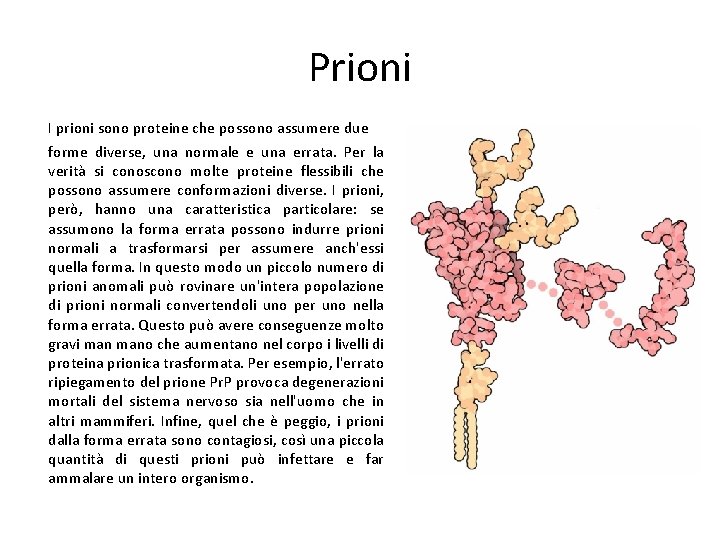 Microbiologia clinica Prof ssa Letizia Angiolella Gli agenti