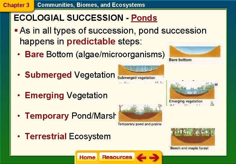 Ecological Succession Notes 3 1 State Standard SB