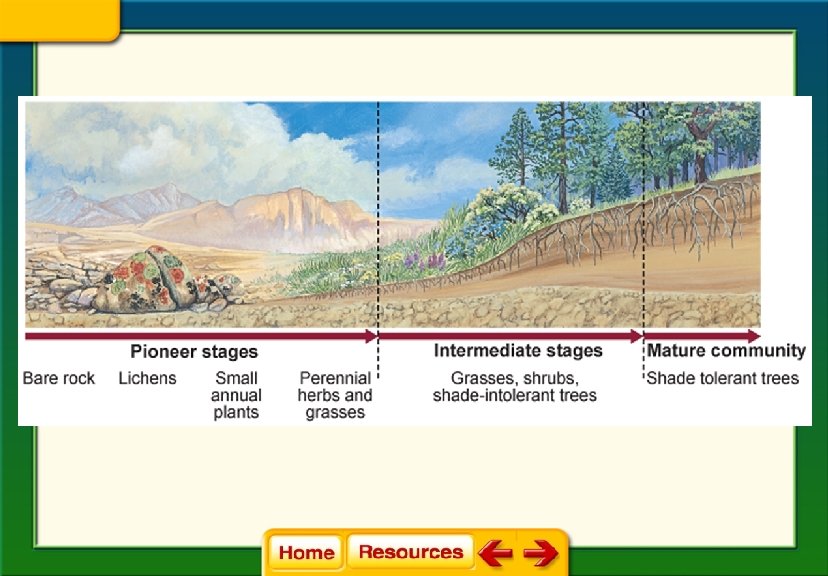 Ecological Succession Notes 3 1 State Standard SB