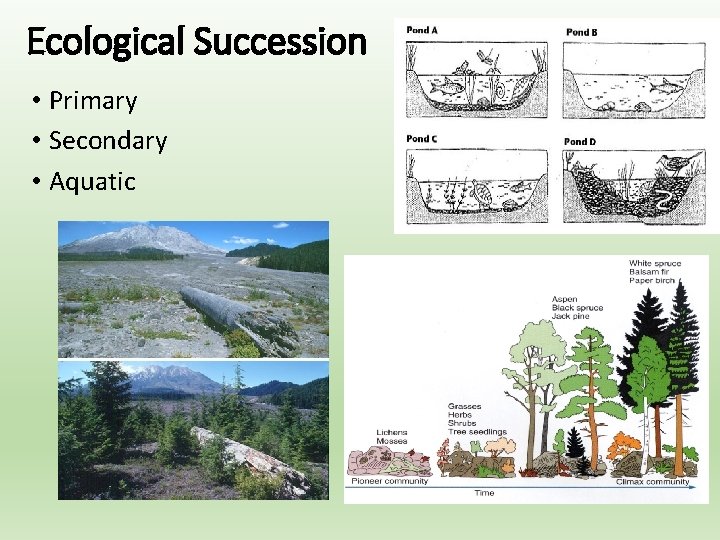 Biodiversity Test Review Biodiversity Why important Importance of
