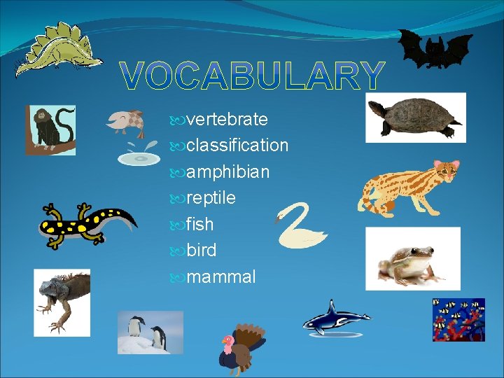 The Mystery of the Classy Vertebrates Creating Scientists