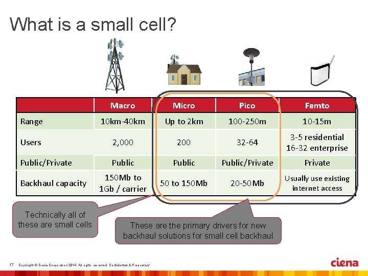 Small Cell Ciena Global Leader in PacketOptical Carrier
