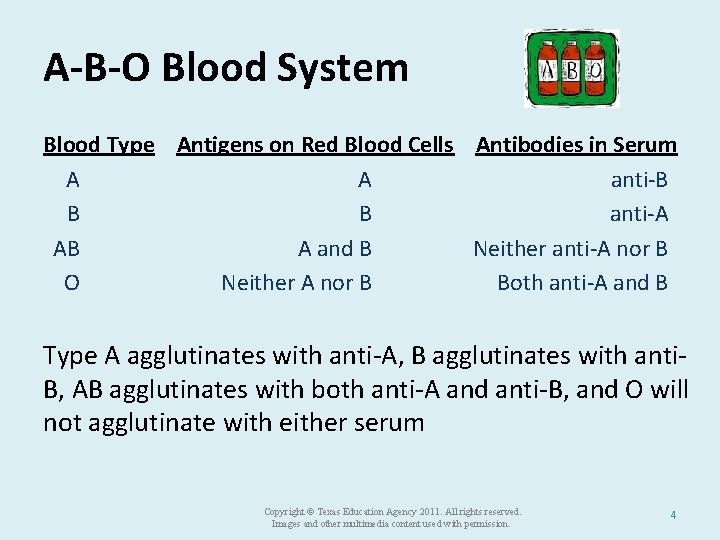 Forensic Serology Forensic Science The Composition of Blood