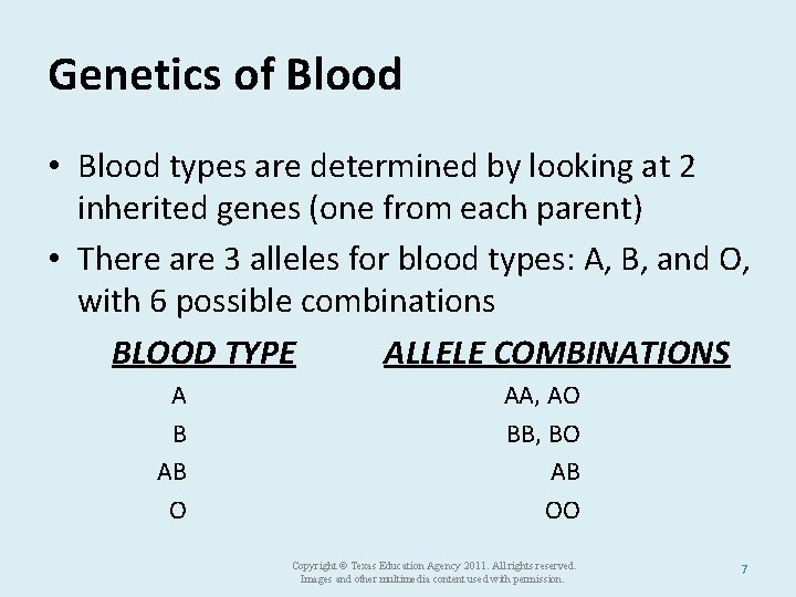 Forensic Serology Forensic Science The Composition of Blood