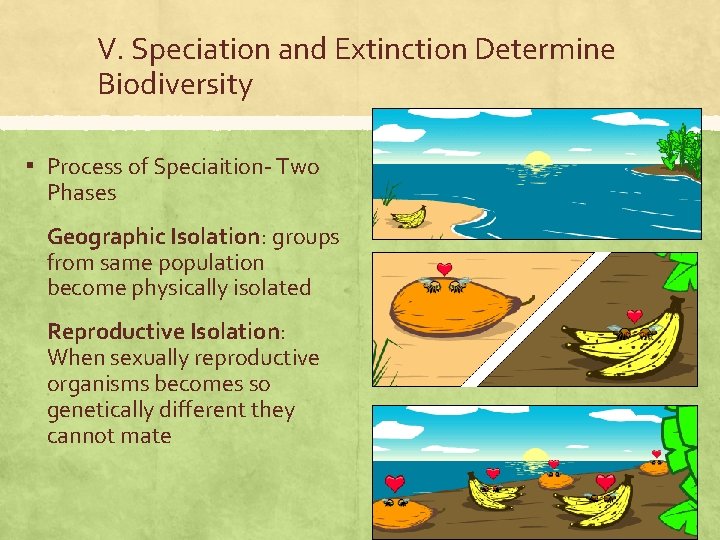 APES Unit IV Evolution and Biodiversity Chapter 5