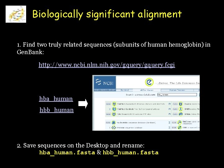 BI 420 Introduction to Bioinformatics Sequence alignment Gabor