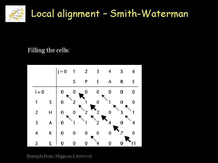 BI 420 Introduction to Bioinformatics Sequence alignment Gabor