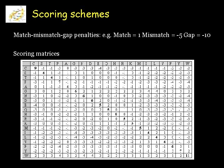BI 420 Introduction to Bioinformatics Sequence alignment Gabor