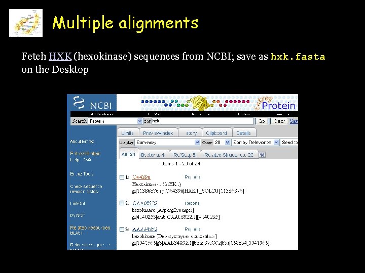 BI 420 Introduction to Bioinformatics Sequence alignment Gabor