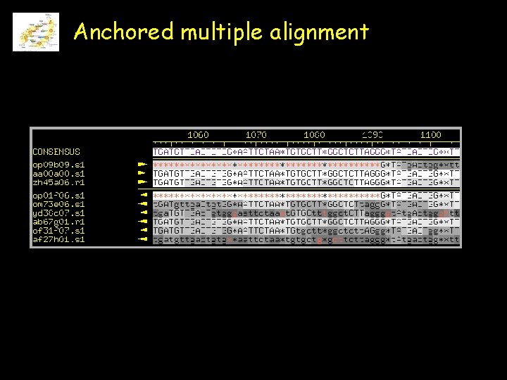 BI 420 Introduction to Bioinformatics Sequence alignment Gabor