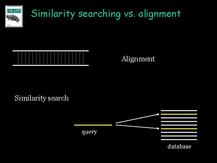 BI 420 Introduction to Bioinformatics Sequence alignment Gabor