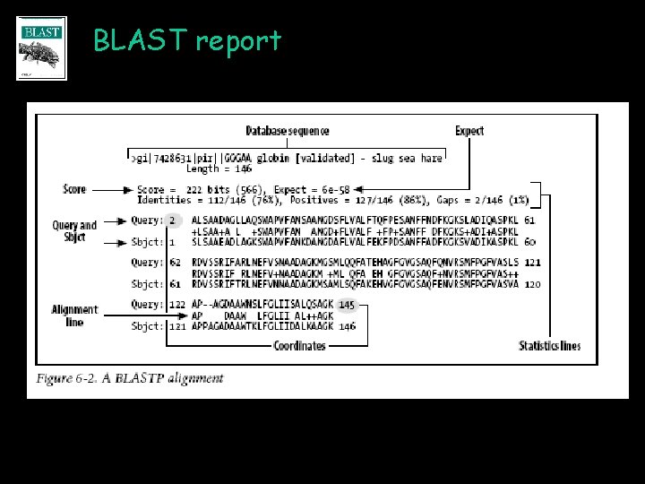 BI 420 Introduction to Bioinformatics Sequence alignment Gabor