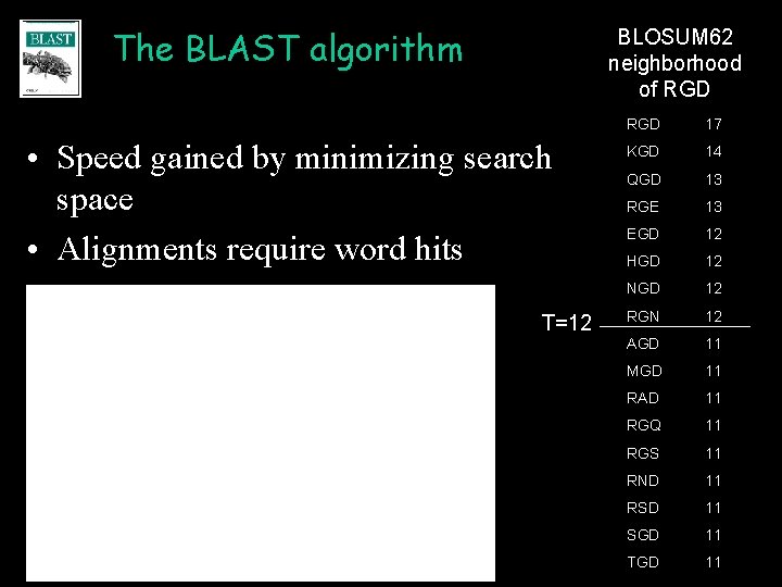 BI 420 Introduction to Bioinformatics Sequence alignment Gabor