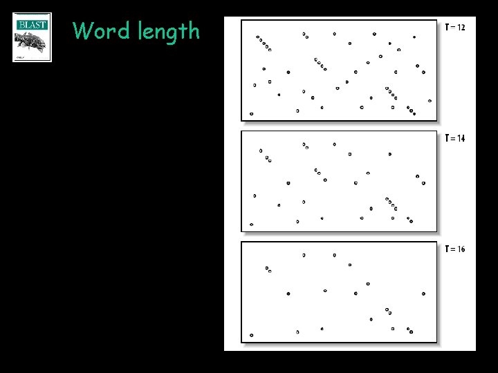 BI 420 Introduction to Bioinformatics Sequence alignment Gabor