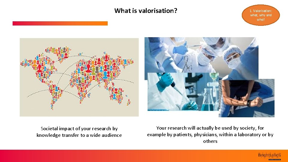 Tools to translate science into practice Henny Bruinewoud