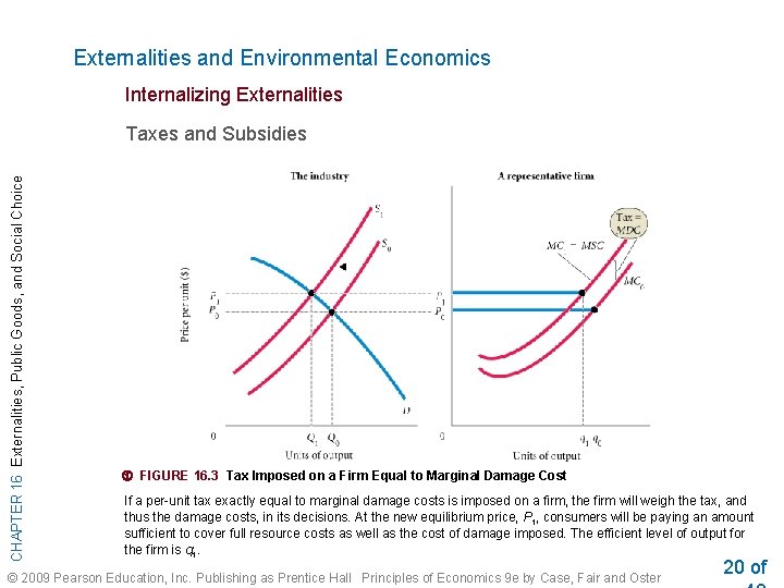 CHAPTER 16 Externalities Public Goods and Social Choice