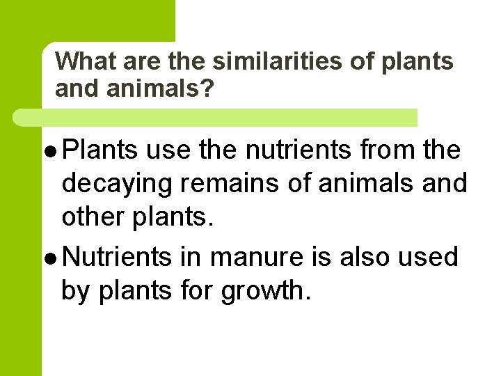Identifying Differences Between Plants and Animals Reminder student