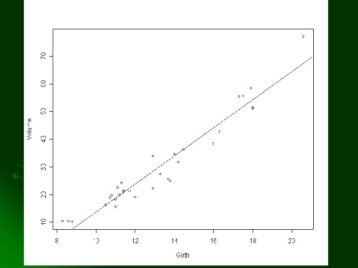 Example Black Cherry Trees Example Black Cherry Trees