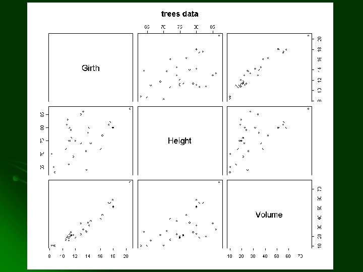 Example Black Cherry Trees Example Black Cherry Trees