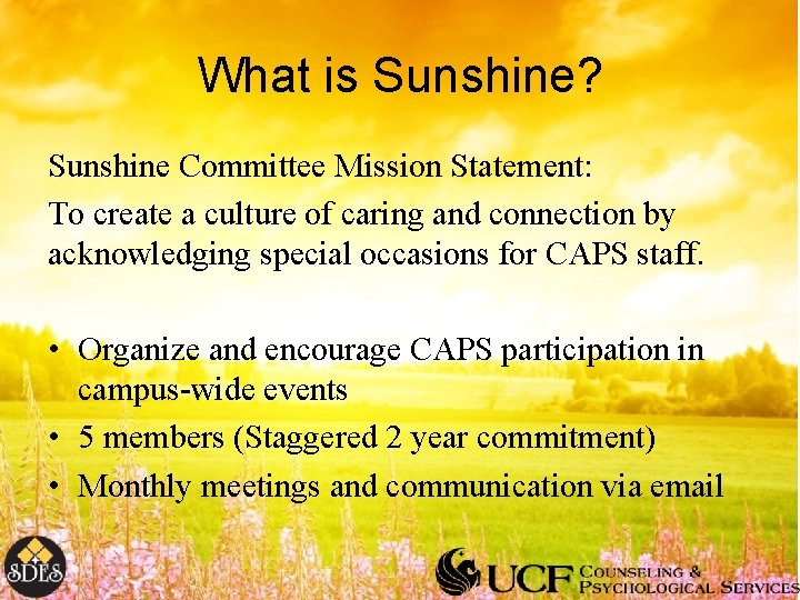 Rays of Light Bringing Sunshine Into the Workplace