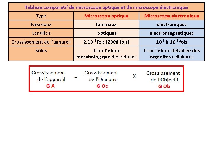 Etude quantitative des rsultats dobservation au microscope optique