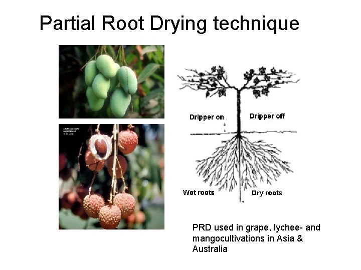 Mismanagement of river basins watersheds and lakes Freshwater