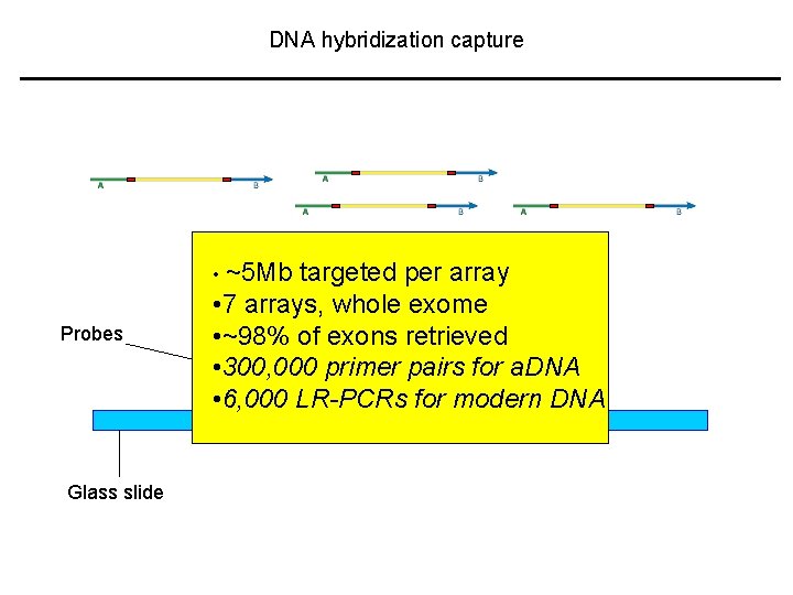 Hybridization Capture Highthroughput Sequencing And Its Implications For