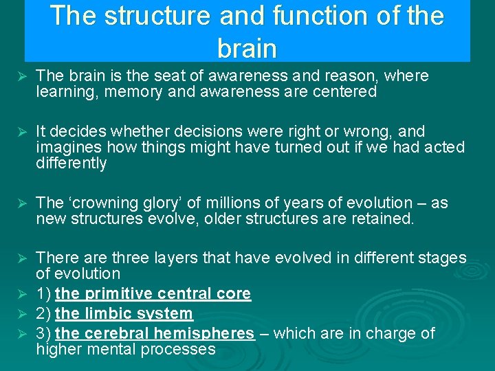 The Localization of Function of the Brain The
