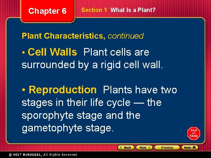 Chapter 6 Introduction to Plants The Big Idea