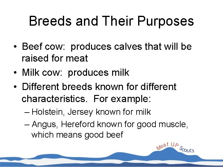 Animal Science Merit Badge Program Based Upon Boy