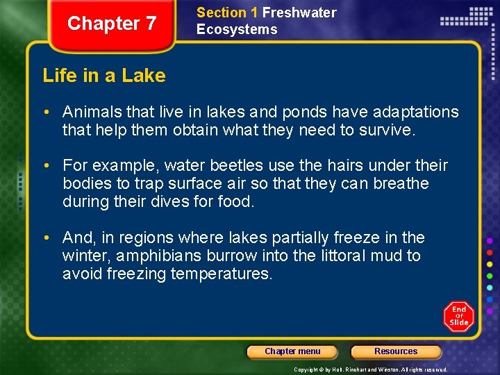 Chapter 7 Aquatic Ecosystems Table of Contents Section