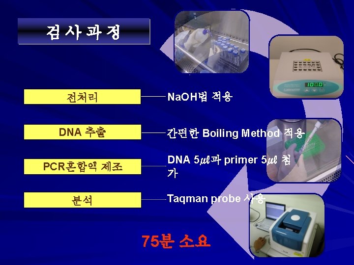 Real time PCR Taqman Probe 1 5 reporter