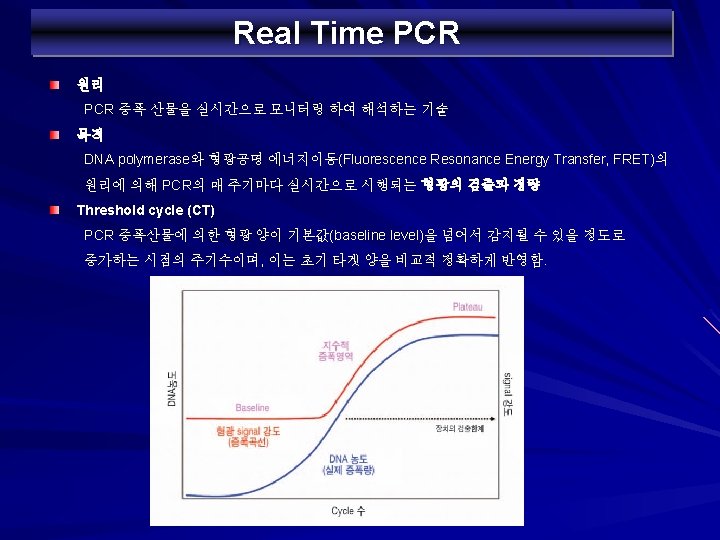 Real time PCR Taqman Probe 1 5 reporter