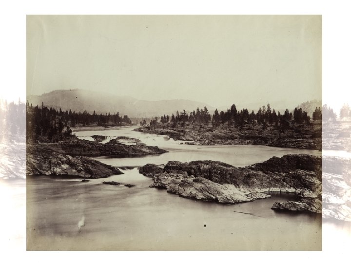 Fox and Coyote and Whale Retold by Mourning