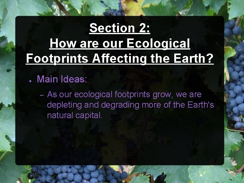 Chapter 1 Environmental Problems Their Causes and Sustainability