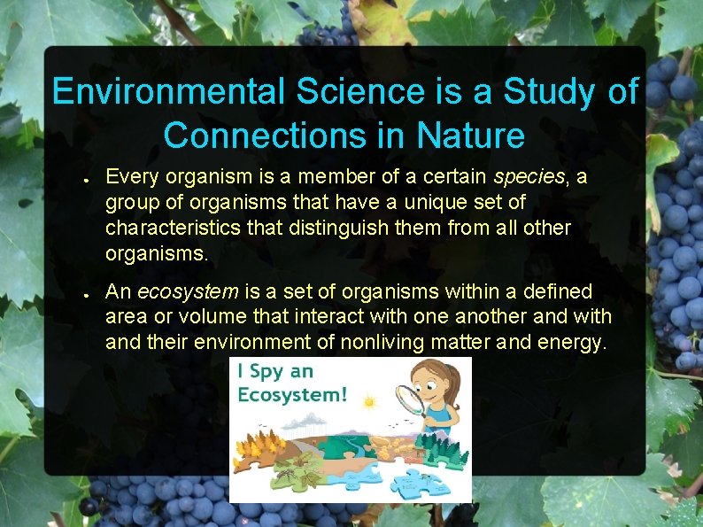 Chapter 1 Environmental Problems Their Causes and Sustainability