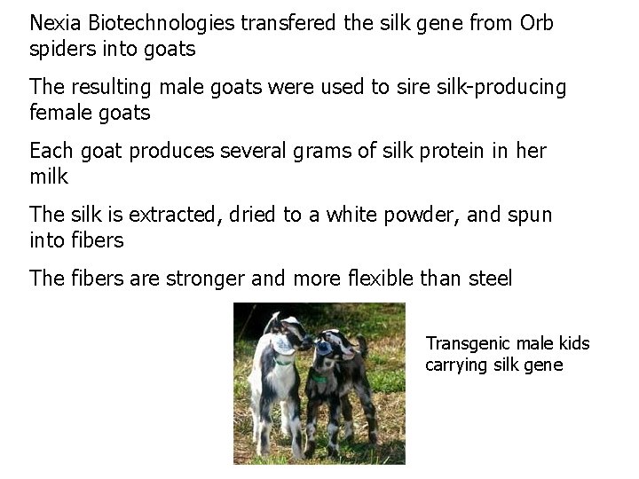 Animal Biotechnology Transgenics are genetically modified organisms with
