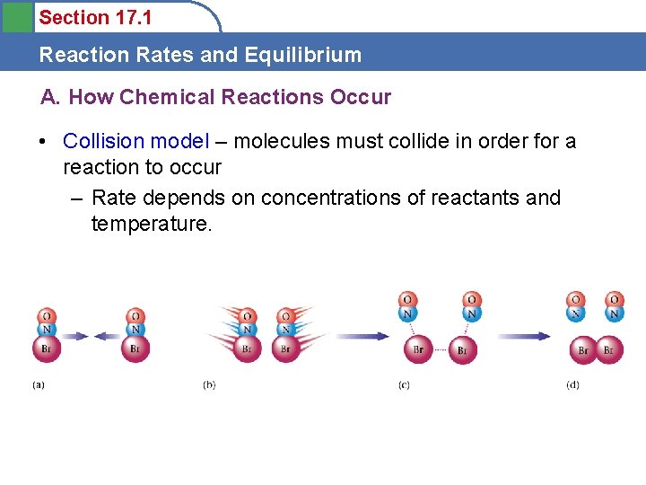 Section 17 1 Reaction Rates and Equilibrium Objectives